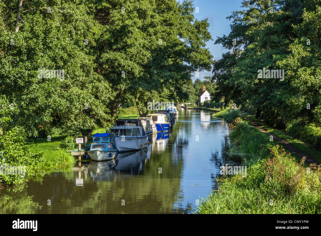 River wey send surrey uk hi-res stock photography and images - Alamy