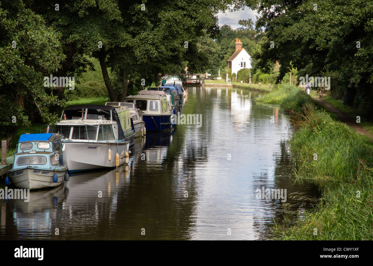 River wey send surrey uk hi-res stock photography and images - Alamy