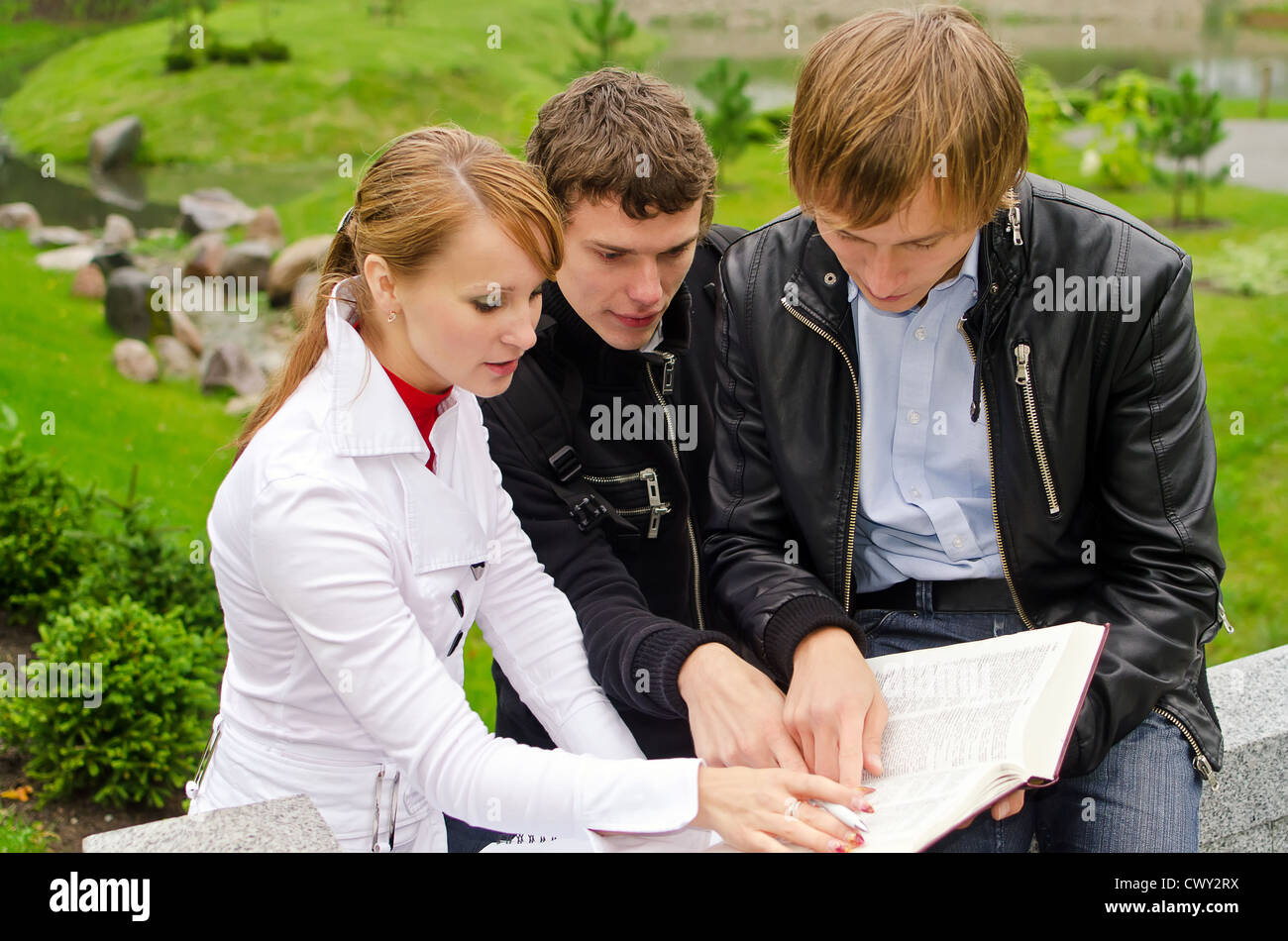 Group of students studying outdoors Stock Photo - Alamy