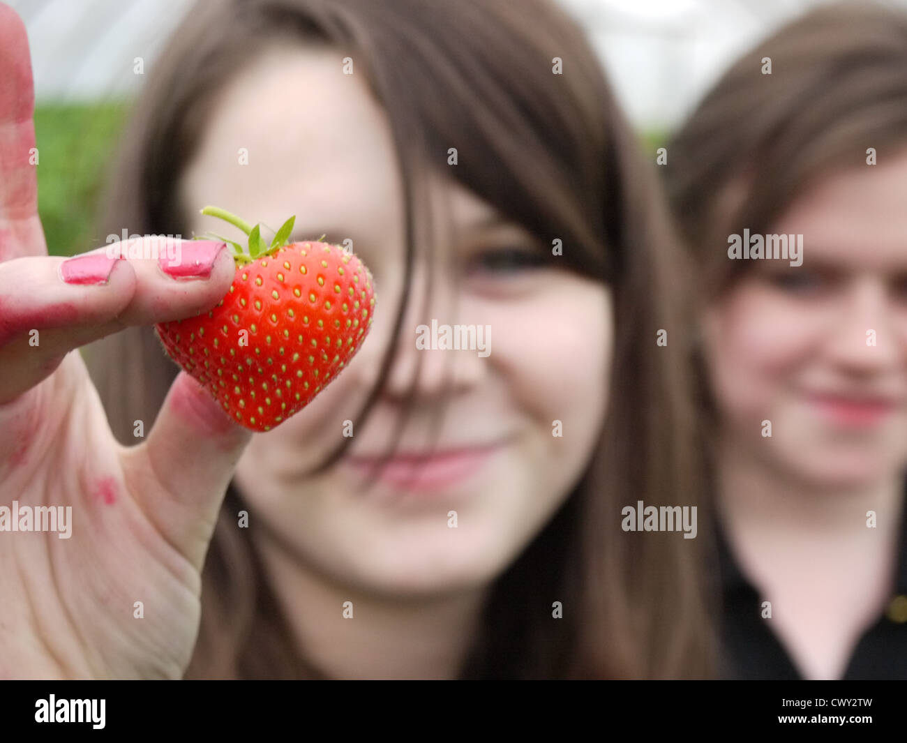Girls fruit picking Stock Photo - Alamy