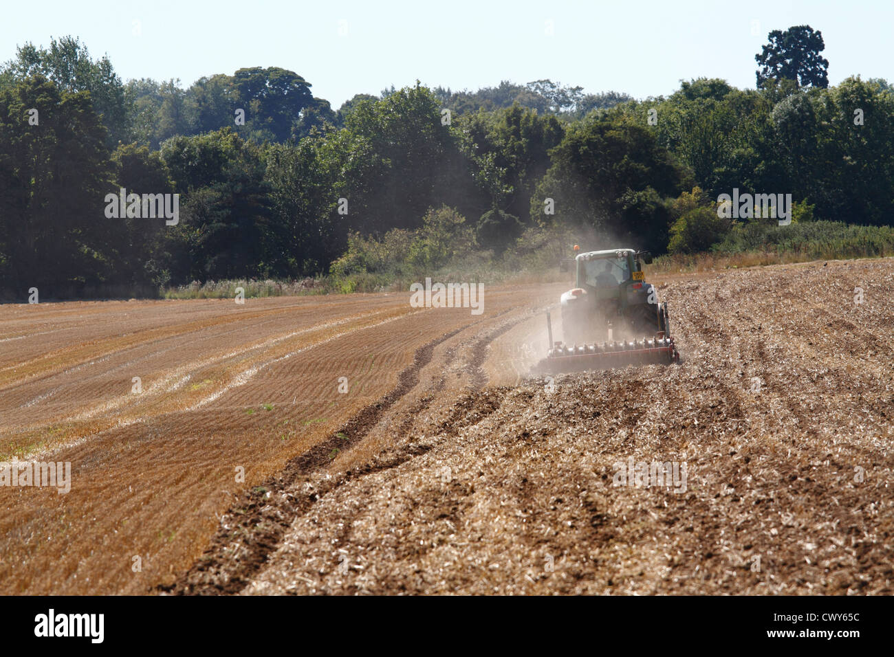Ploughing stubble from barley crops in Kent Stock Photo - Alamy