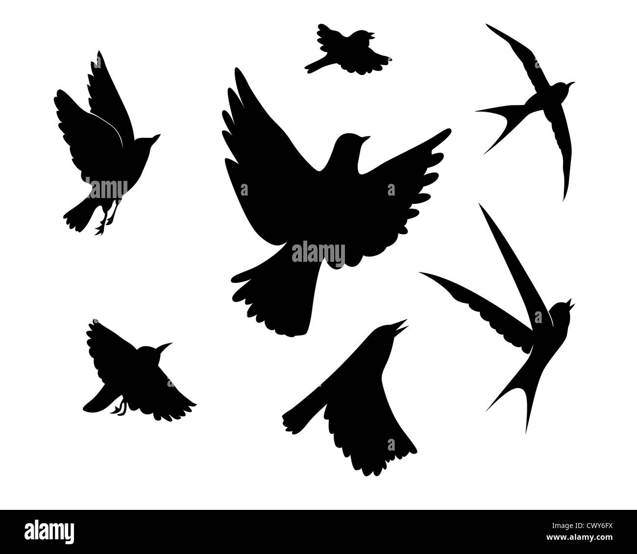 Flying Robin Silhouette