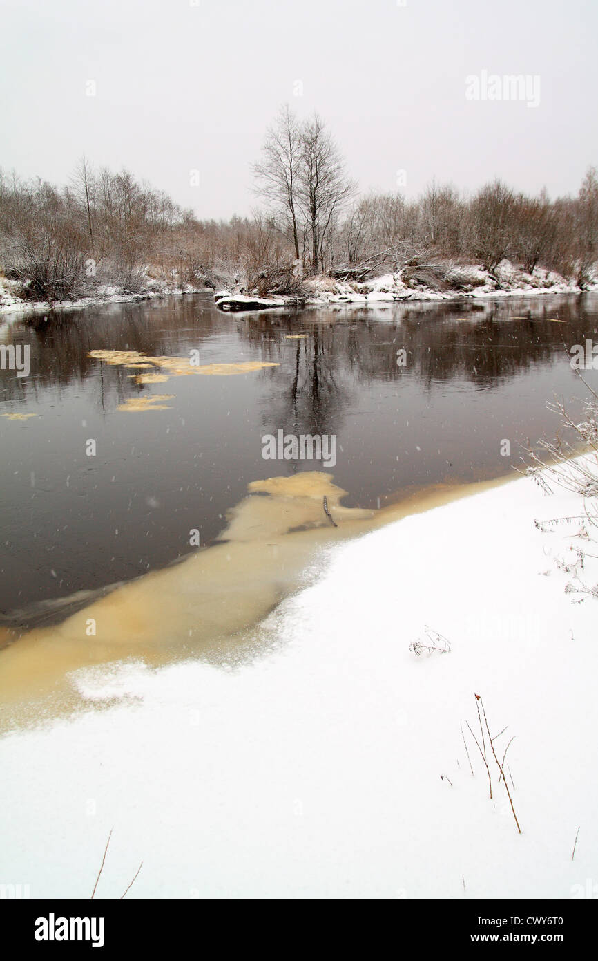 snow tree on coast river Stock Photo - Alamy