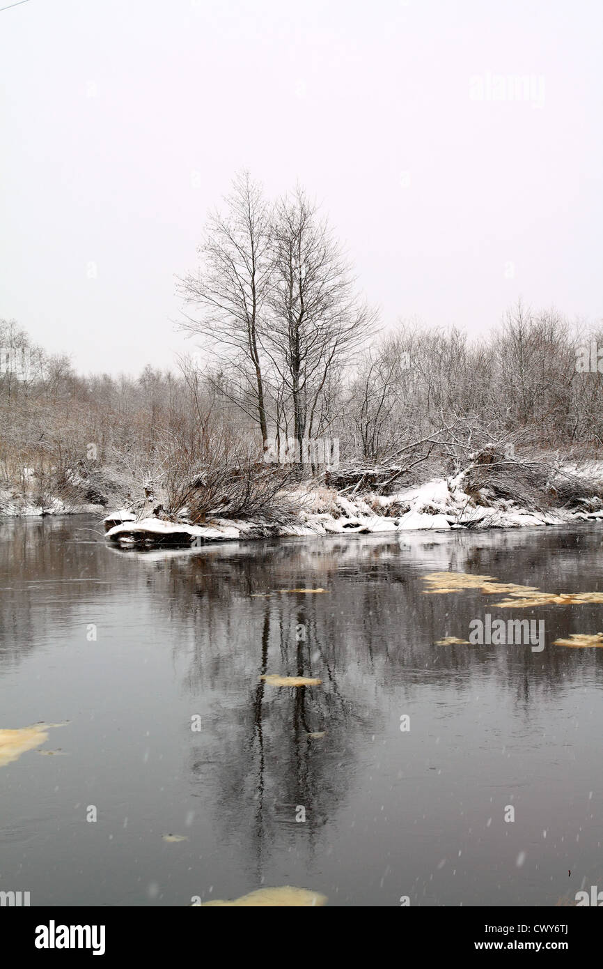 snow tree on coast river Stock Photo - Alamy