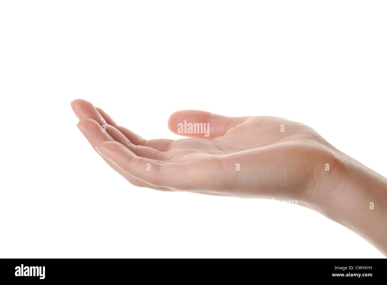 closeup woman`s hand isolated on white background Stock Photo - Alamy