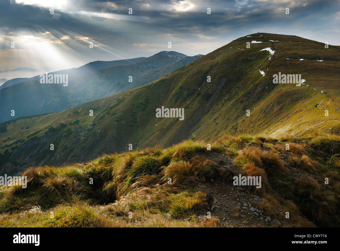 mountain scenery in Carpathians Stock Photo - Alamy