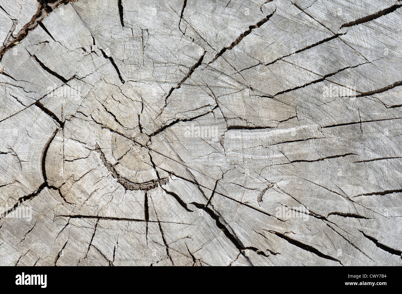 close up rough old wood texture background Stock Photo - Alamy