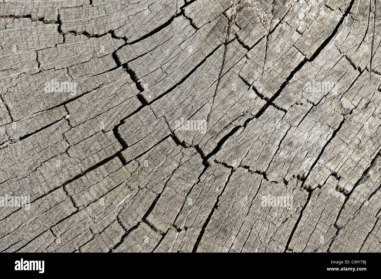 close up rough old wood texture background Stock Photo - Alamy