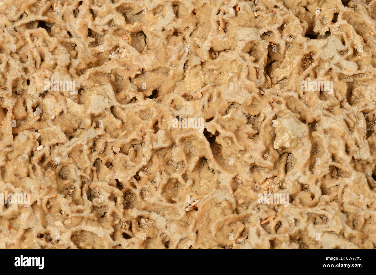 close up natural stone texture background Stock Photo - Alamy