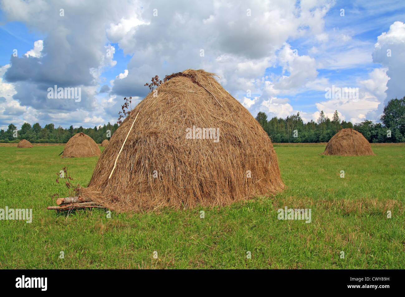 Summer meadow rolls hay hi-res stock photography and images - Alamy