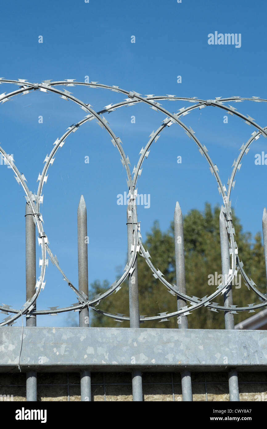 Looking up at coils of razor wire on top of a gate with metal spikes ...