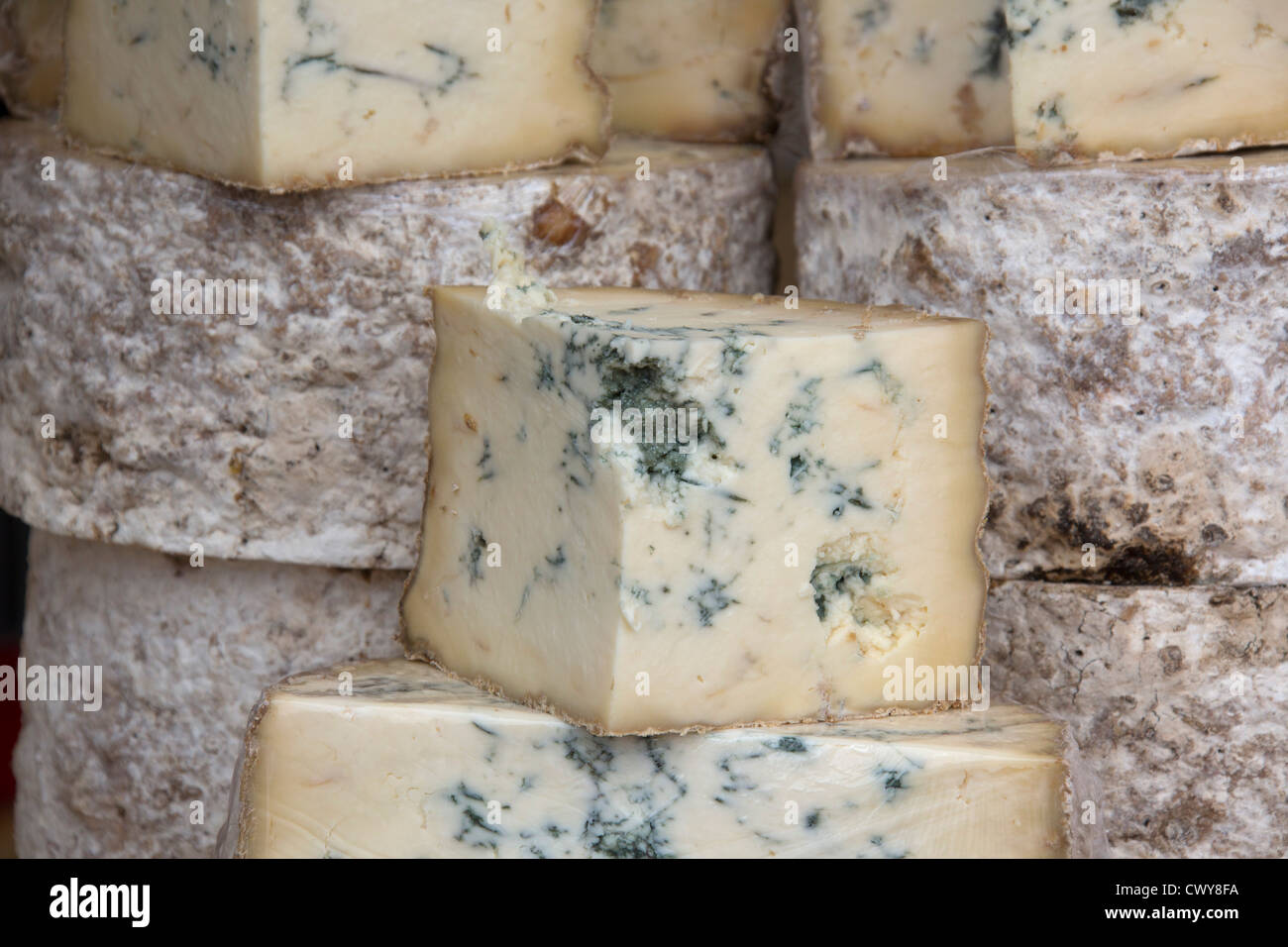 Stichelton Blue Cheese on sale at a food fair Stock Photo - Alamy