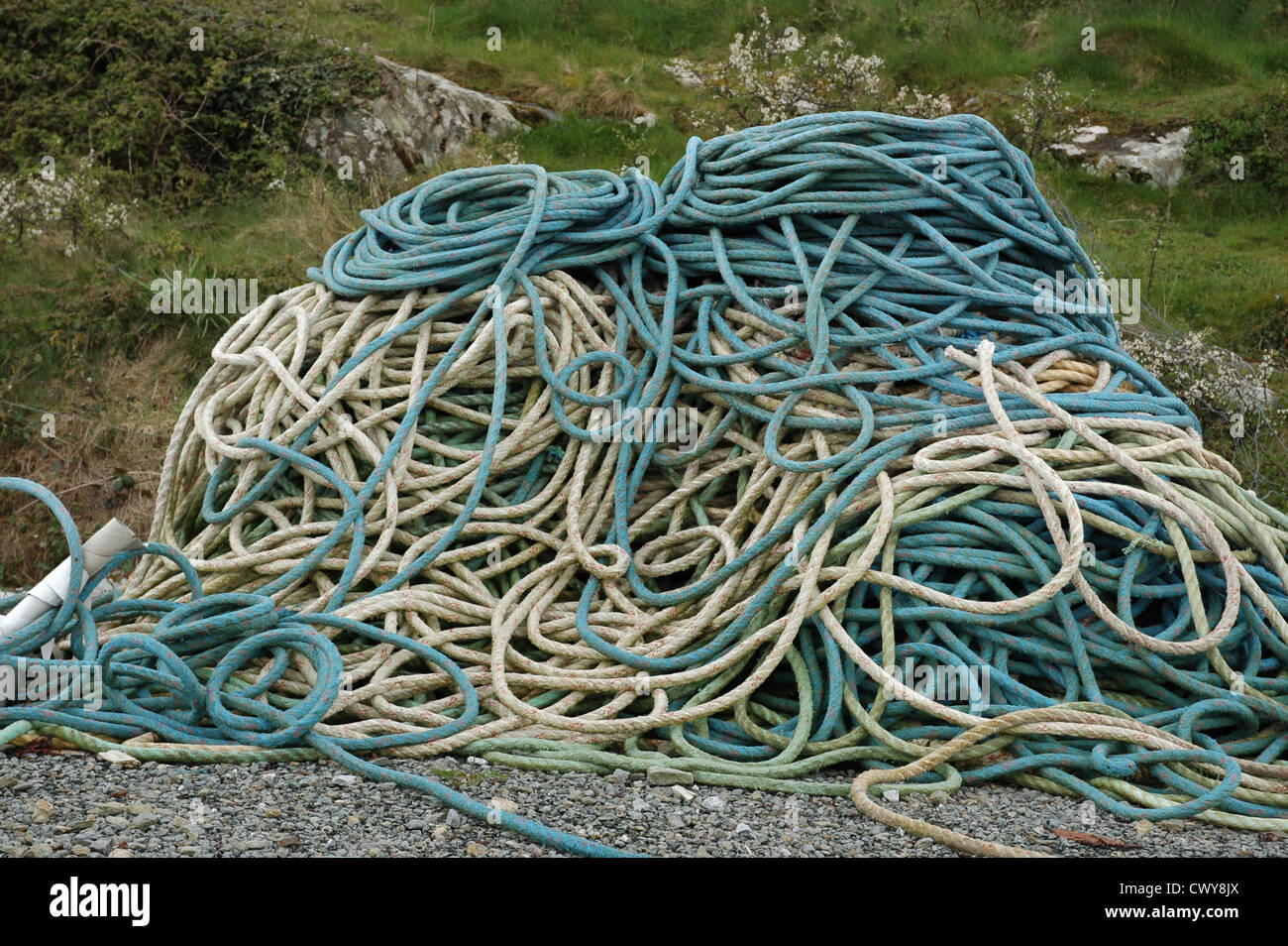 Pile of nylon rope, blue and white, some coiled on shore of bay ...