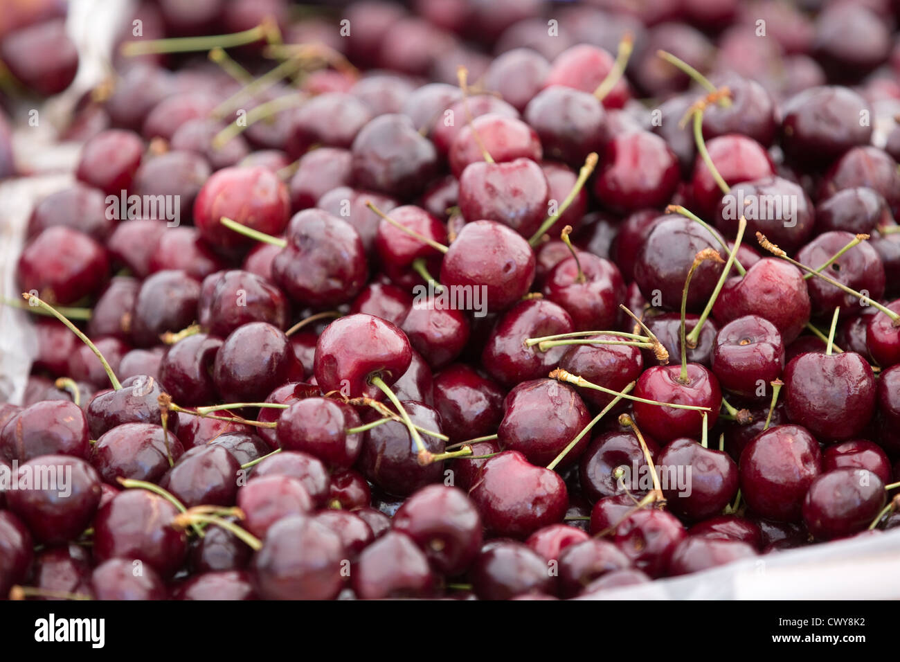 Cherries for sale on a market stall Stock Photo - Alamy