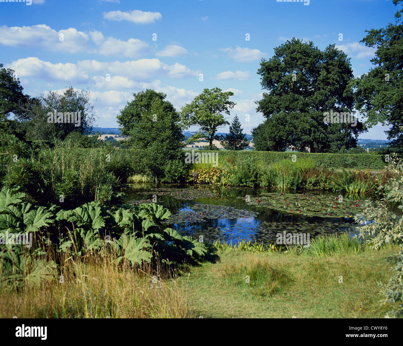 Northiam village hi-res stock photography and images - Alamy