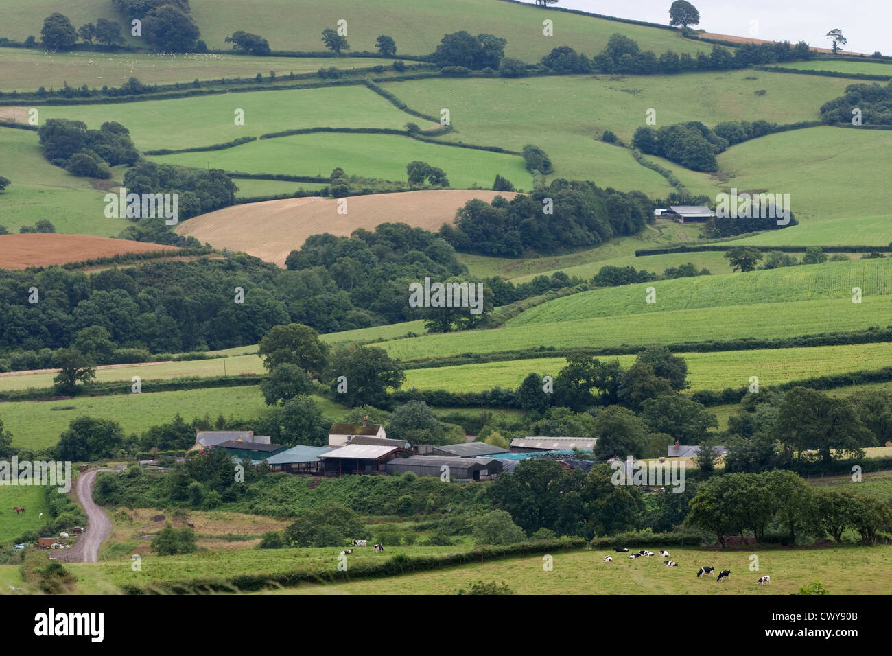 Rolling Devon Countryside Stock Photo - Alamy