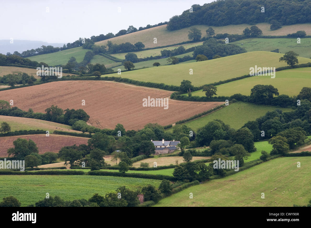 Rolling Devon Countryside Stock Photo - Alamy