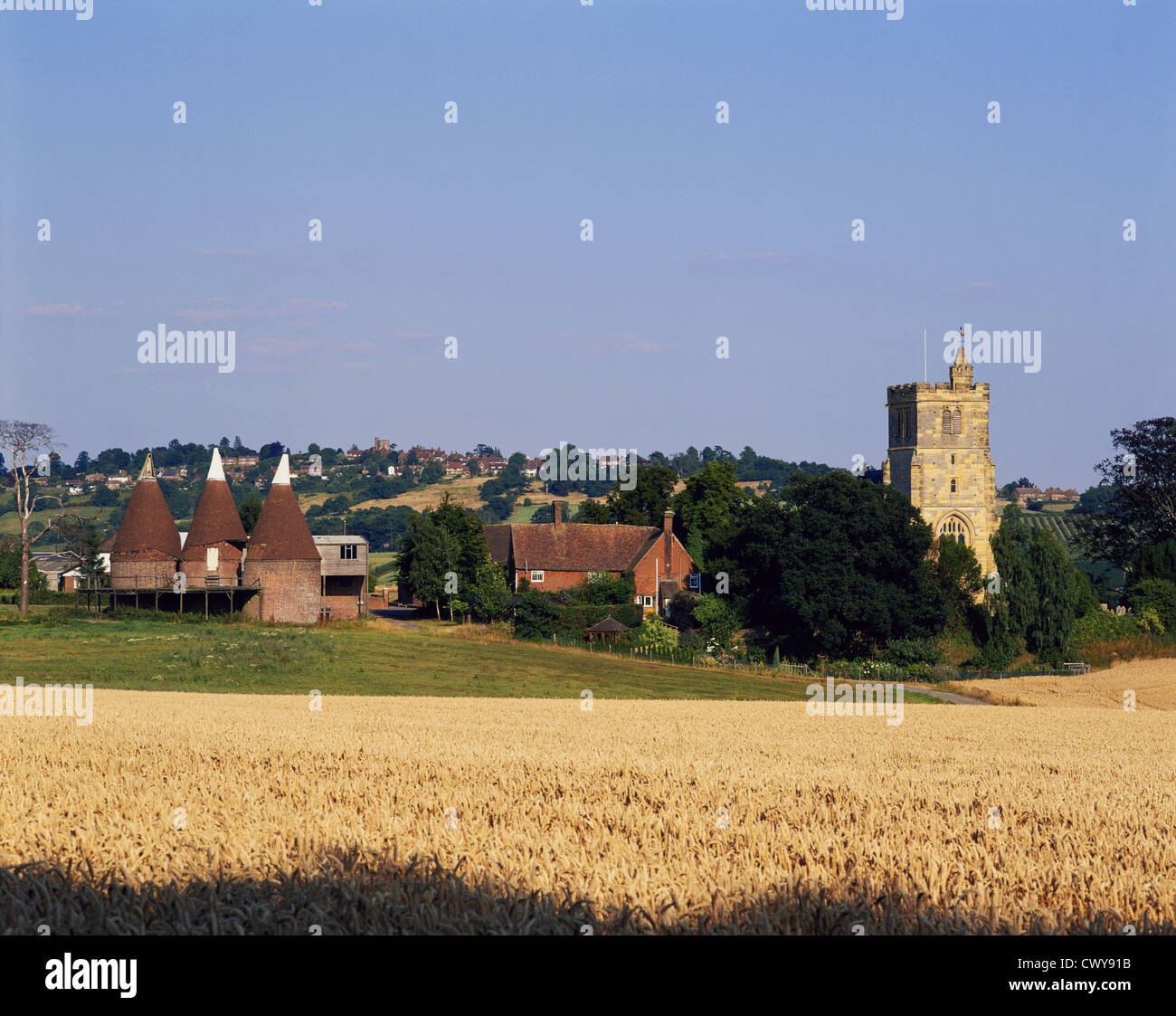 Harvest time at Horsmonden, Kent, England, UK, GB Stock Photo - Alamy