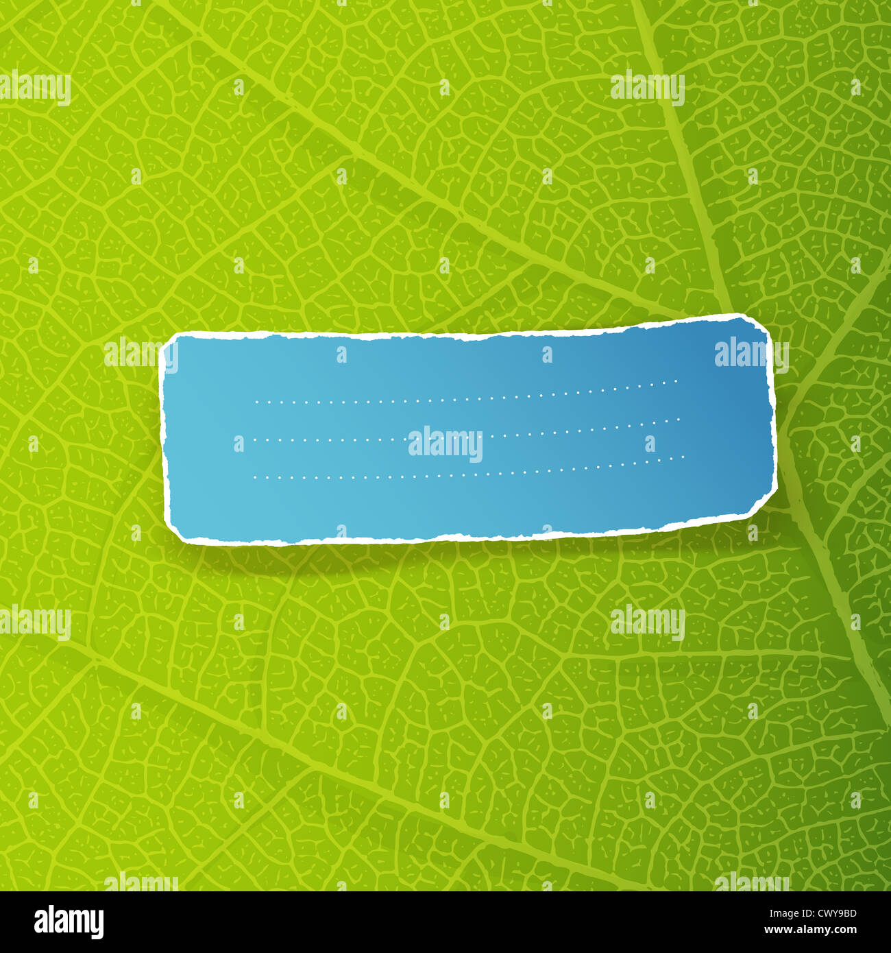 Torn Label High Resolution Stock Photography and Images - Alamy