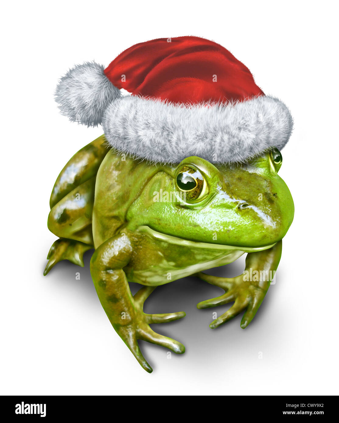 Holiday frog as a green amphibian wearing a Christmas hat as a festive ...