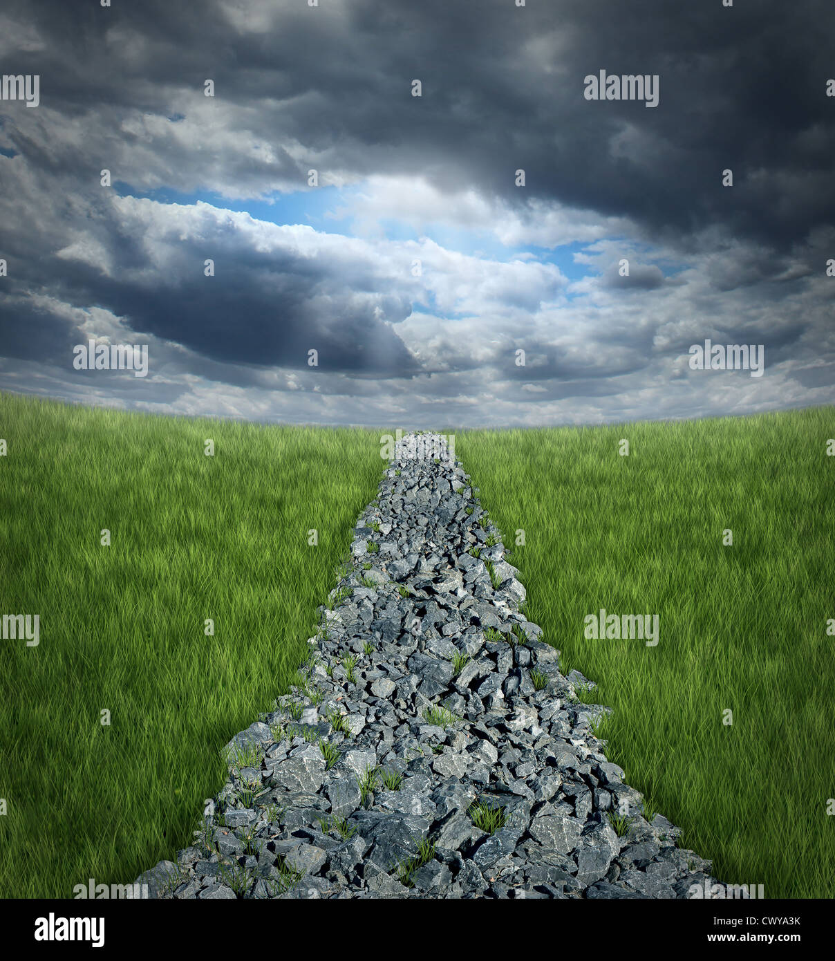 Conquering adversity and overcoming business challenges ahaead with a ...