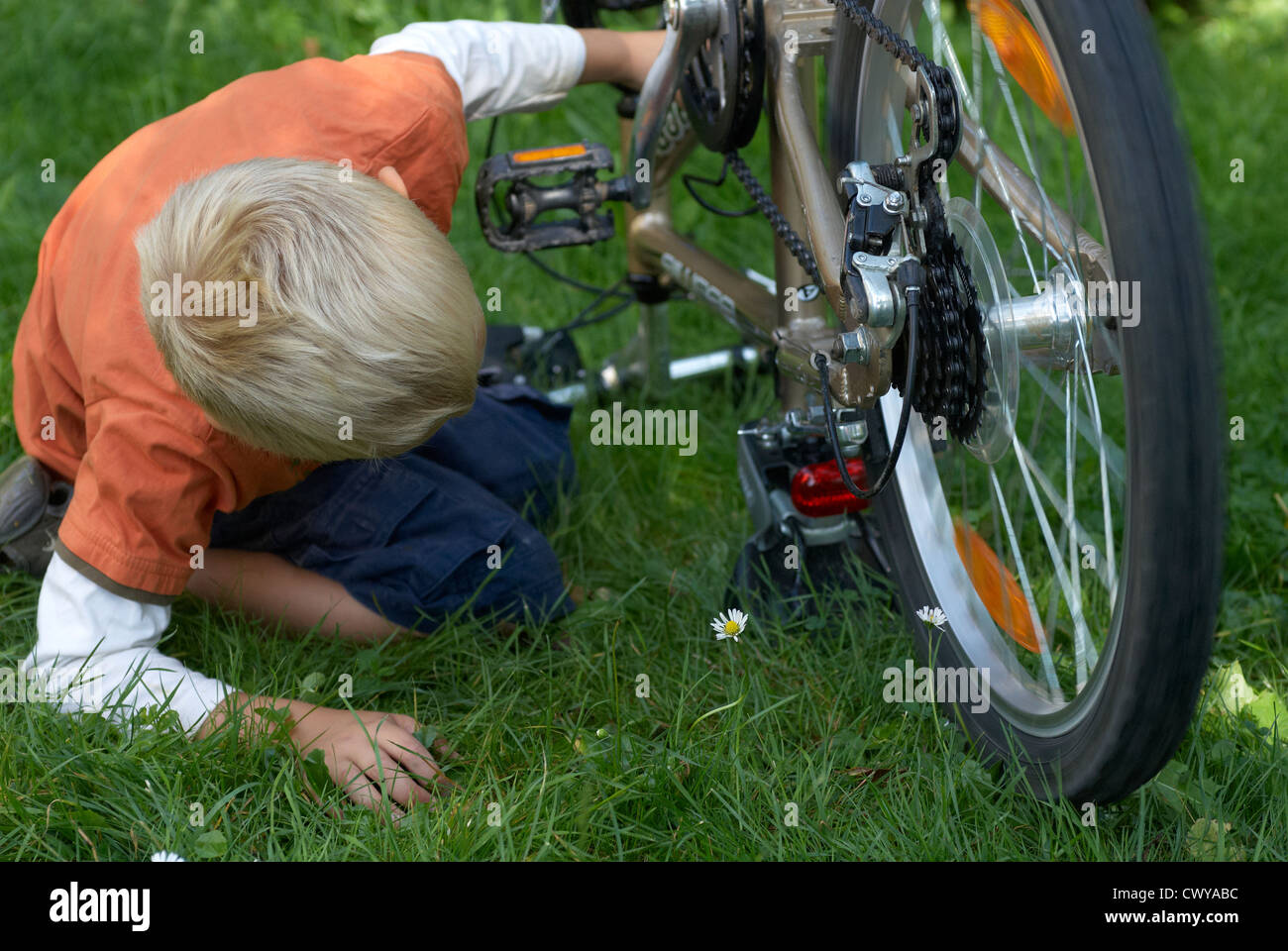 Child blond boy examining and fixing his bicycle outside summer Stock ...