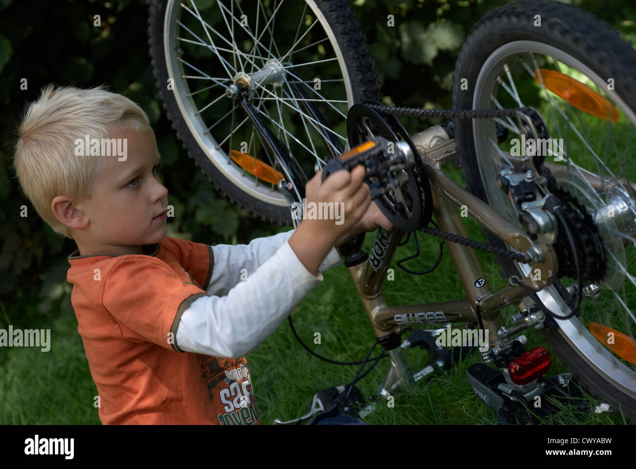 Child blond boy examining fixing hi-res stock photography and images ...