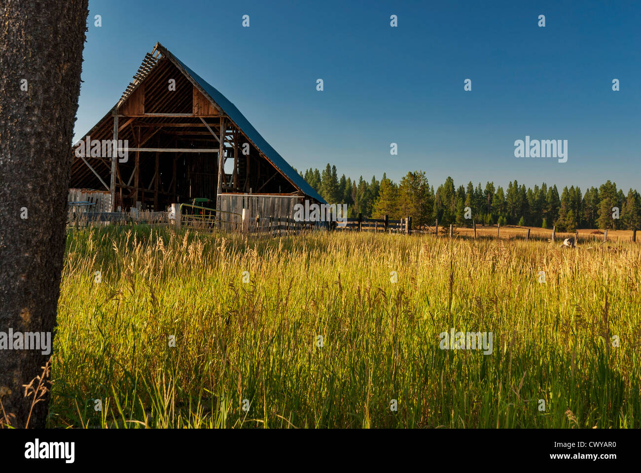 Old Barn falling apart but still being used Stock Photo - Alamy