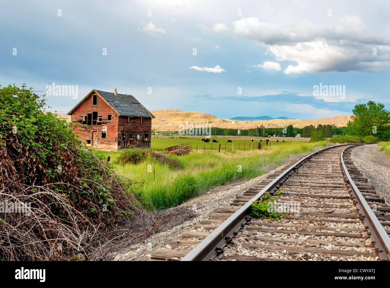 Railroad tracks trees hi-res stock photography and images - Alamy