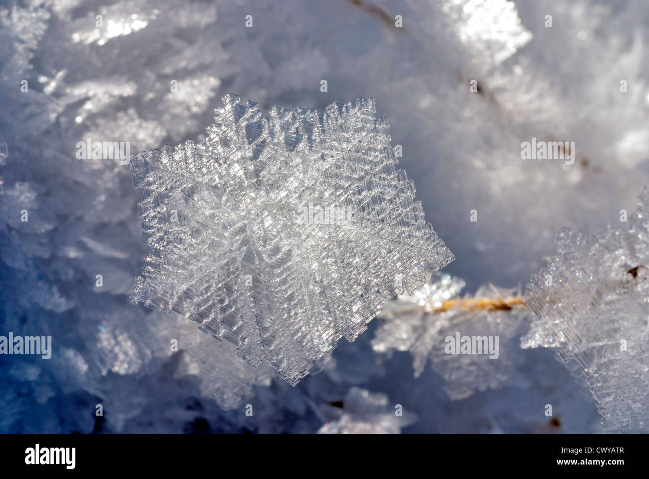 Single ice crystal with a snowy background Stock Photo - Alamy