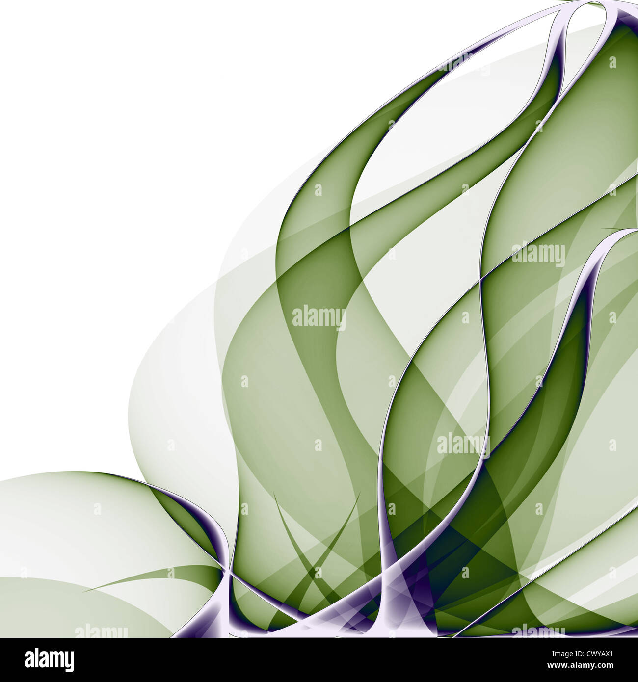 Wavy leaf shape hi-res stock photography and images - Alamy