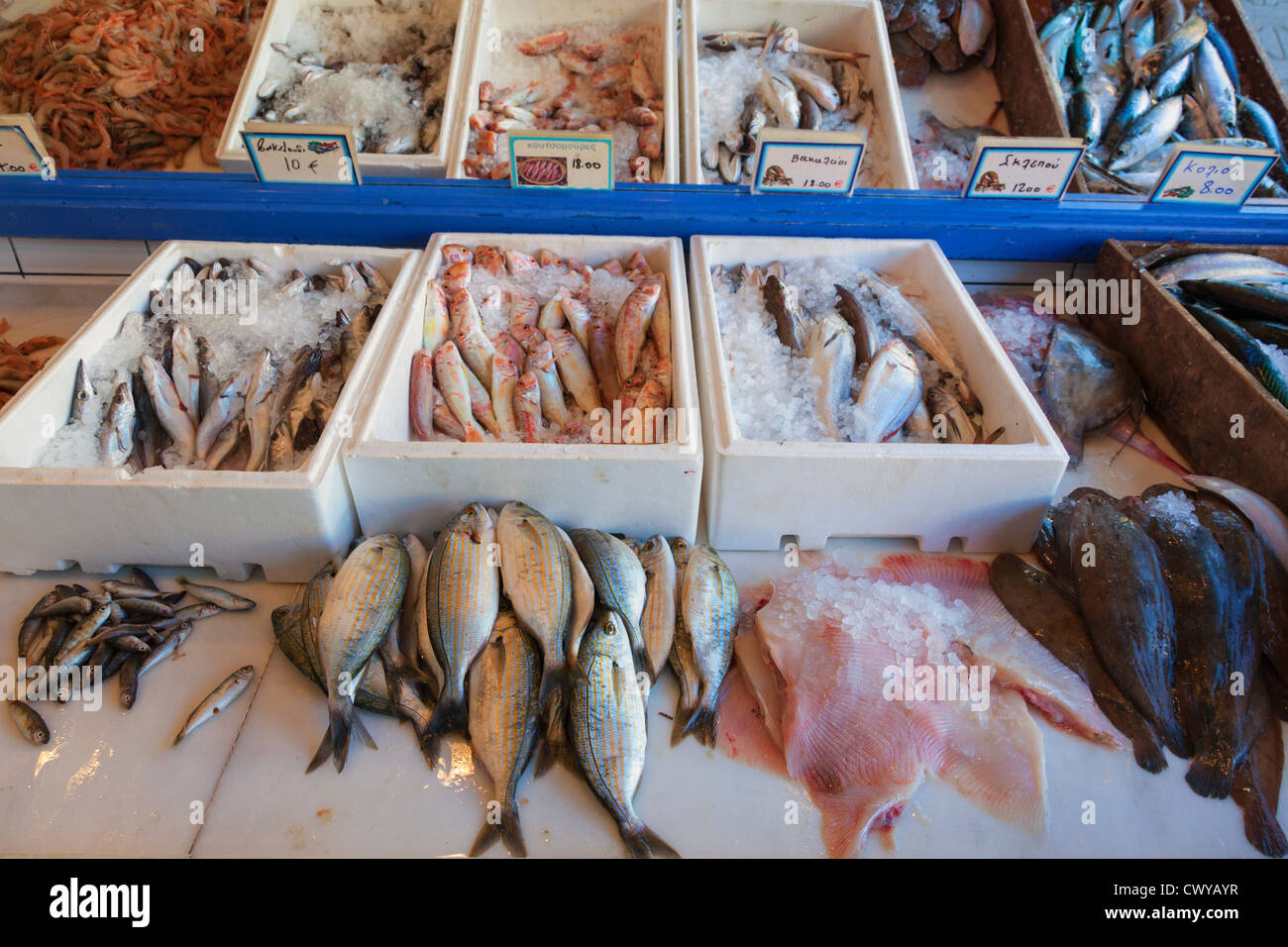 Fish display greece hi-res stock photography and images - Alamy