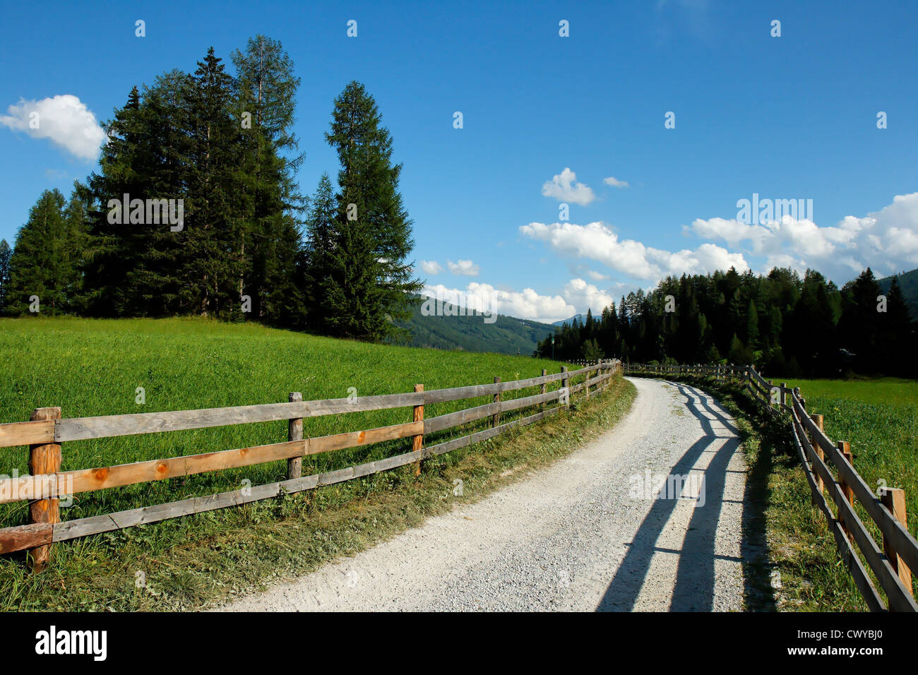 Rural road among meadows hi-res stock photography and images - Alamy