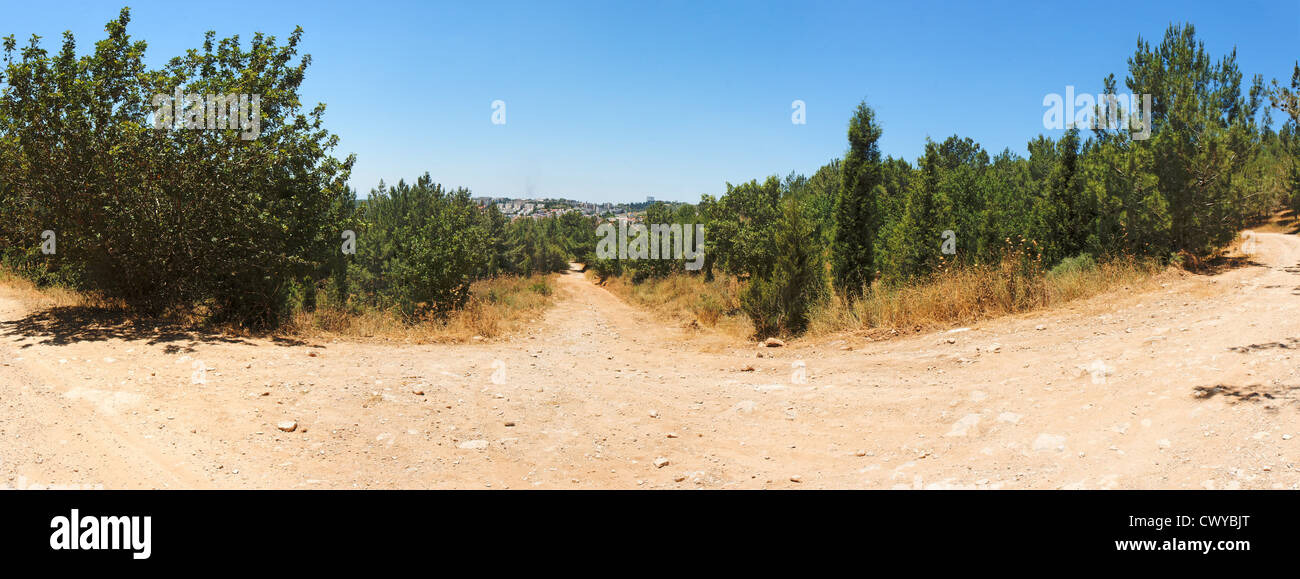 Suburb with trees hi-res stock photography and images - Alamy