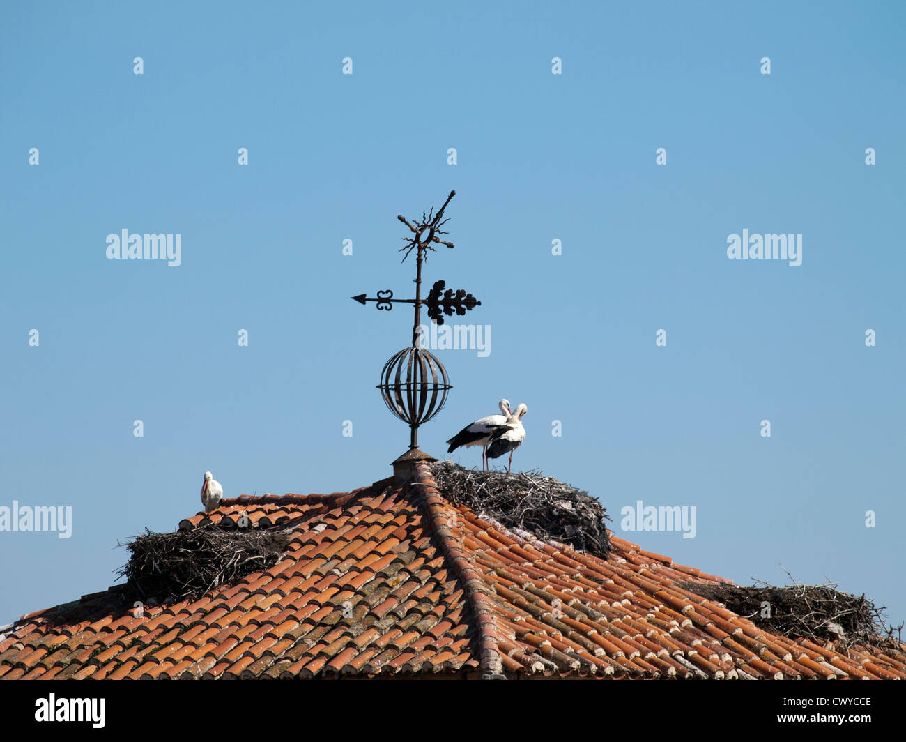 Weathercock hi-res stock photography and images - Alamy