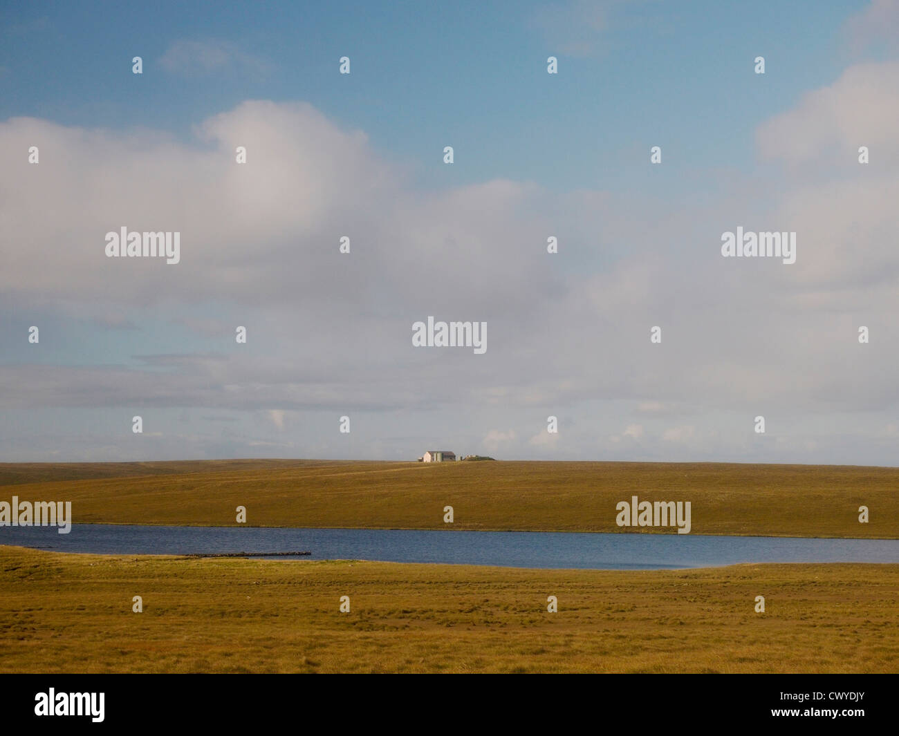 Bog Hill High Resolution Stock Photography and Images - Alamy