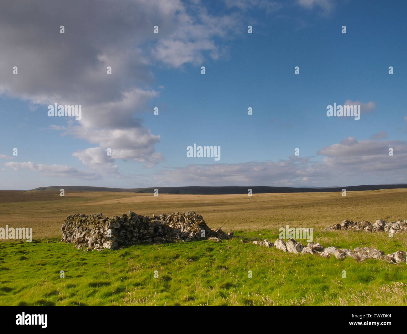 Ruined building, Fetlar, Shetland Stock Photo - Alamy