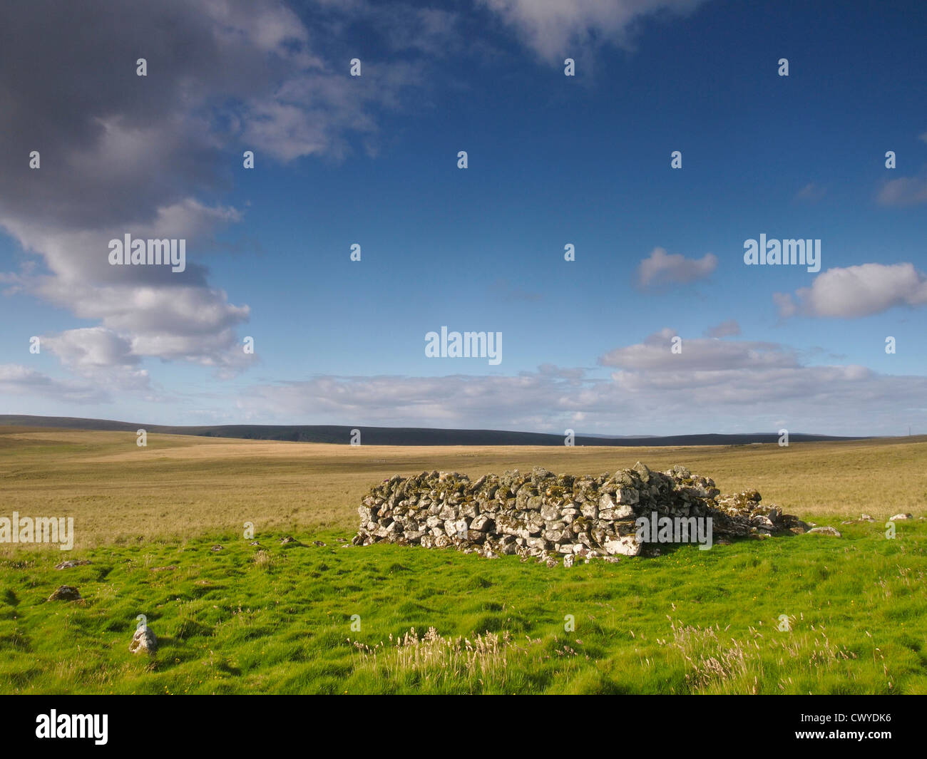 Ruined building, Fetlar, Shetland Stock Photo - Alamy
