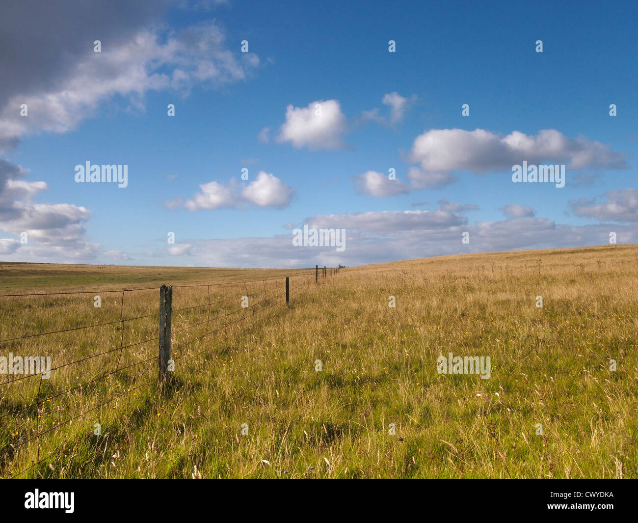 Shetland fetlar island hi-res stock photography and images - Alamy