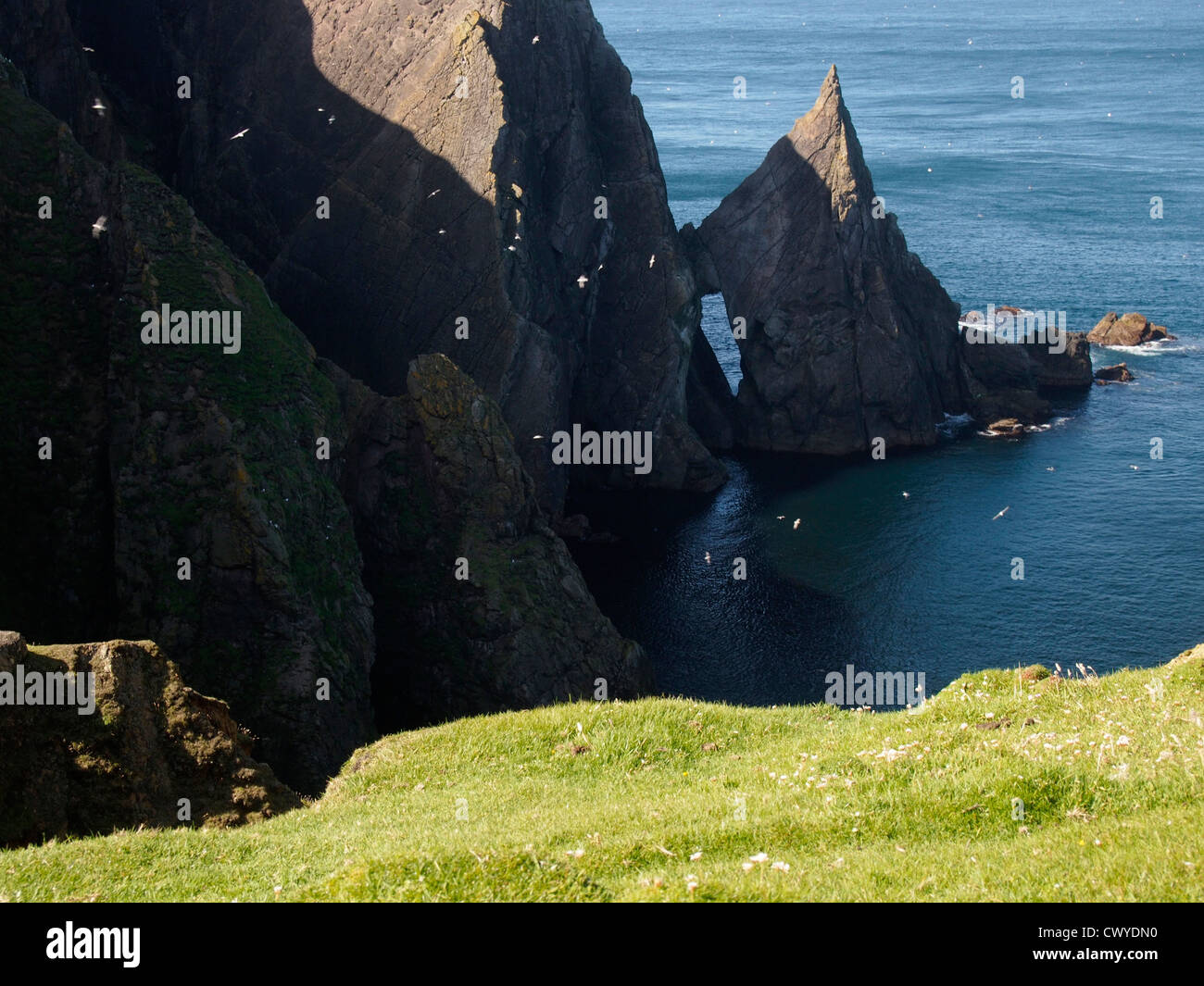 At the coast of fair isle hi-res stock photography and images - Alamy