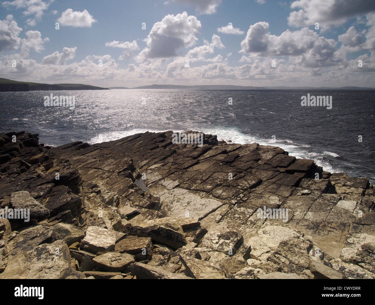 Wave-cut platform, Westray, Orkney, Scotland Stock Photo - Alamy