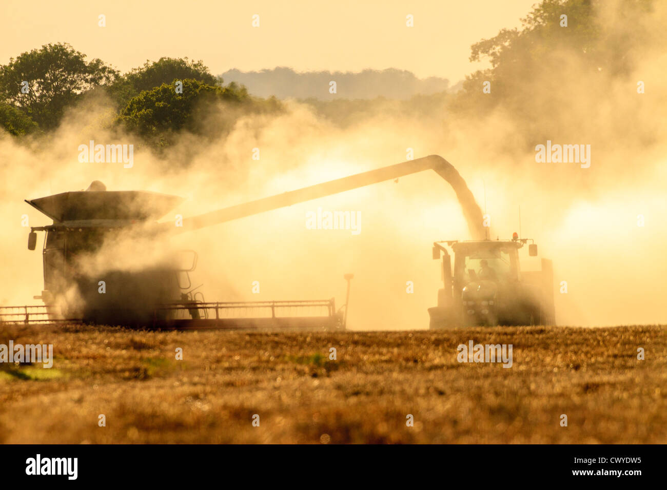 wheat combine harvester Stock Photo - Alamy