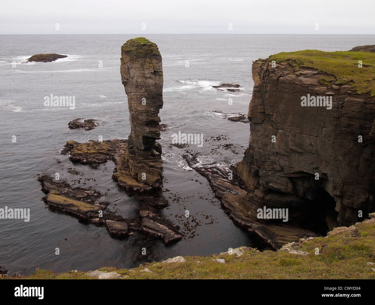 Yesnaby castle sea stack, Mainland, Orkney, Scotland Stock Photo - Alamy