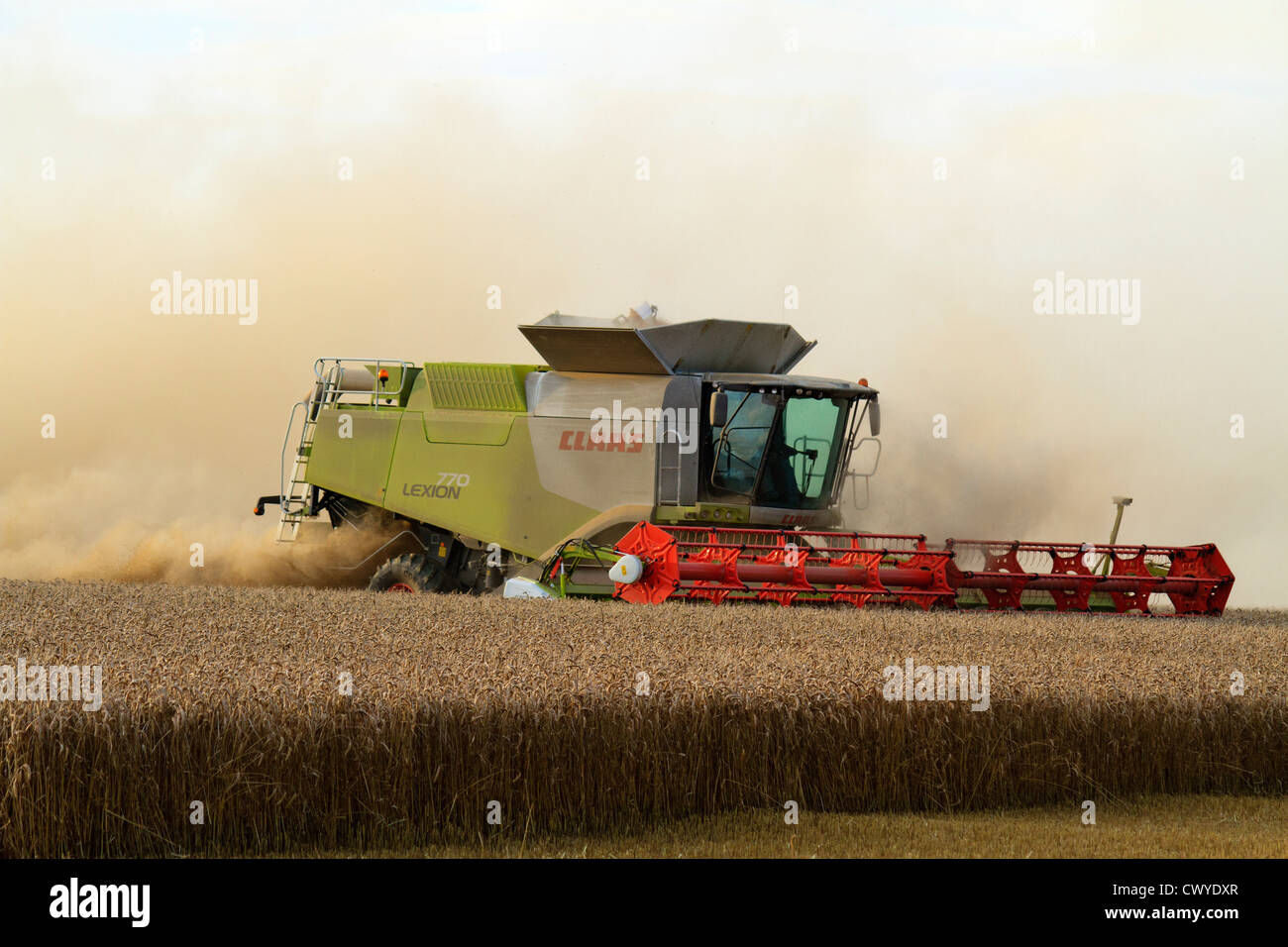 Combining wheat hi-res stock photography and images - Alamy