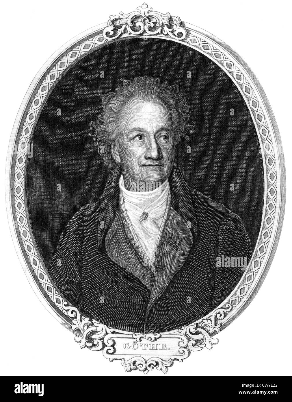 Johann Wolfgang Von Goethe 1749 1832 German Poet High Resolution Stock ...