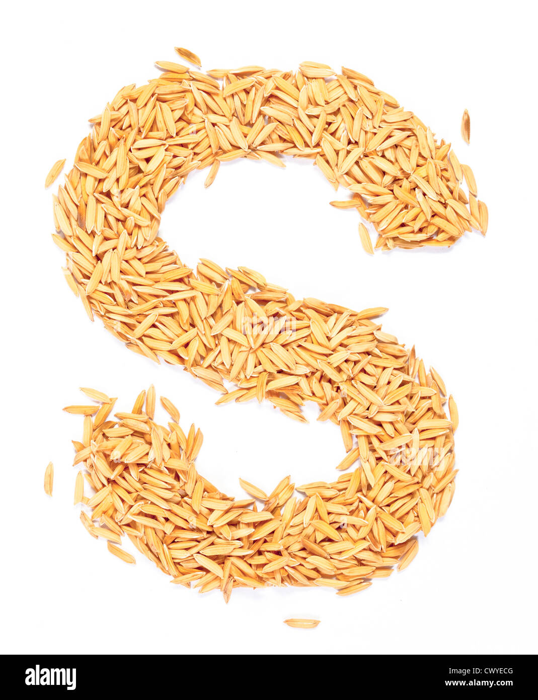 s, alphabet,Letter from Paddy rice on white Stock Photo - Alamy