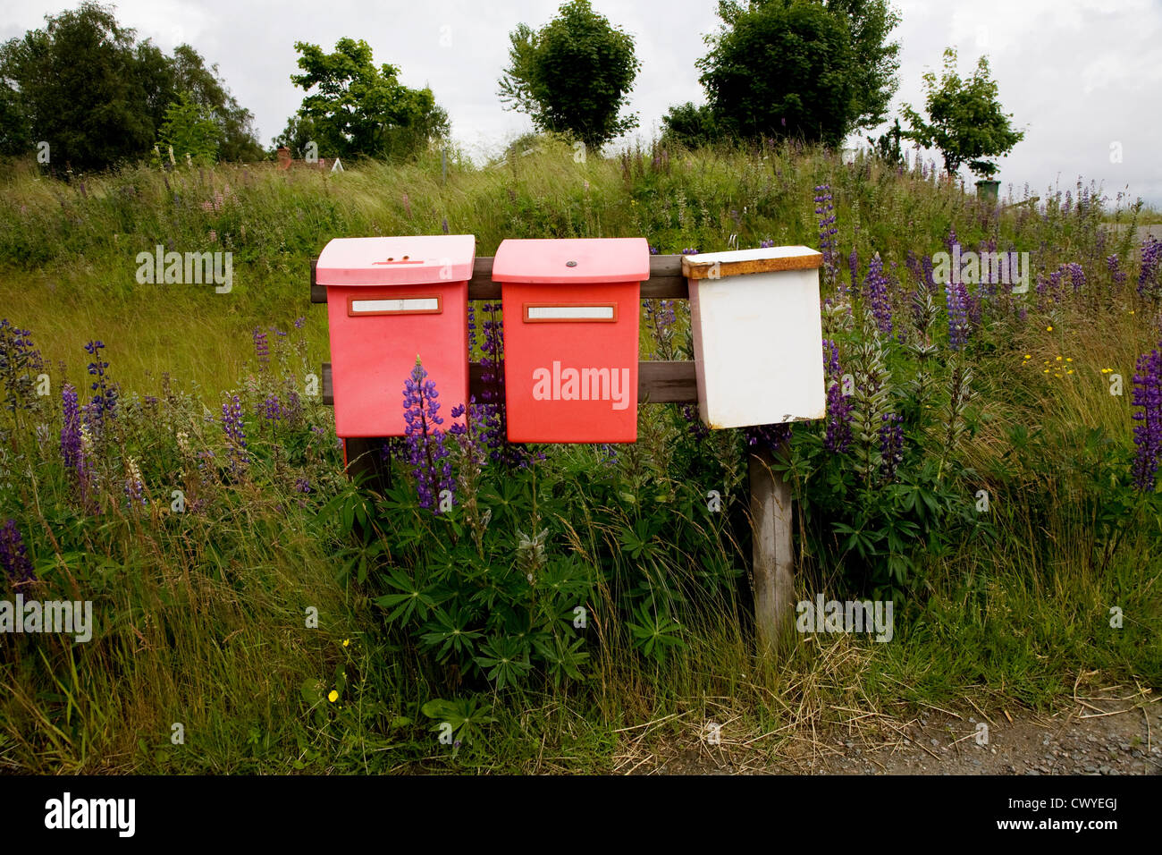 Letter boxes in Sweden Stock Photo - Alamy