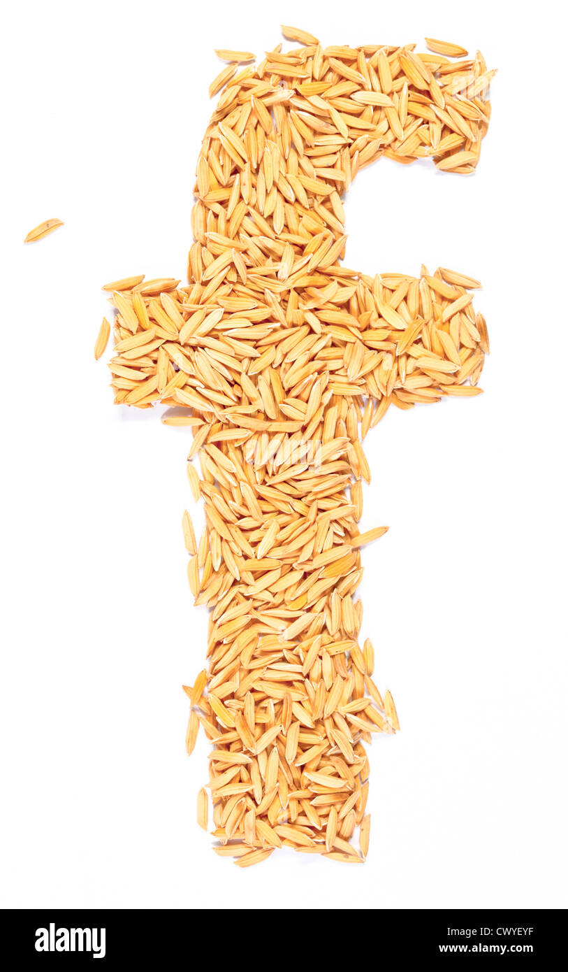 f, alphabet,Letter from Paddy rice on white Stock Photo - Alamy