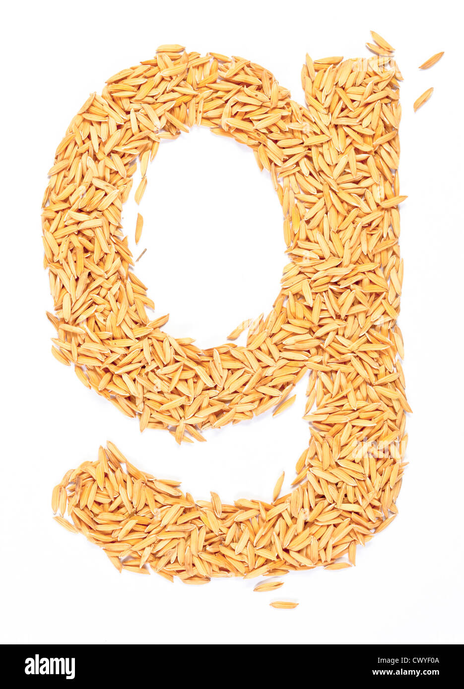 g, alphabet,Letter from Paddy rice on white Stock Photo - Alamy