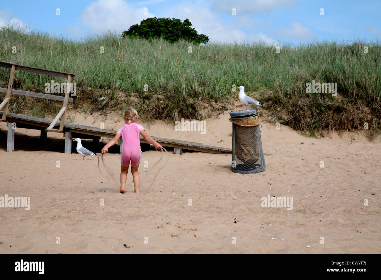 Teasing beach hi-res stock photography and images - Alamy